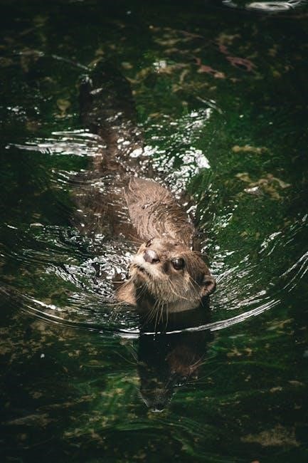 Download "The Swimmer" by John Cheever PDF - Free eBook